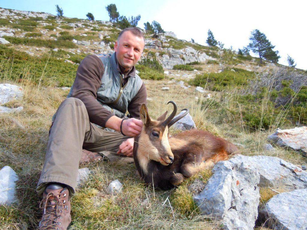 PYRENEAN CHAMOIS - SMC SPAIN HUNTING IBEX