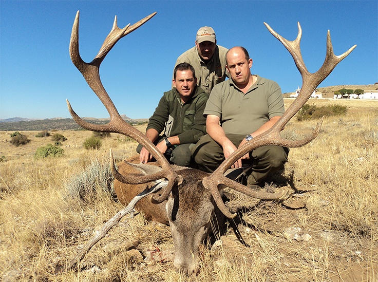 BIG GAMES - SMC SPAIN HUNTING IBEX
