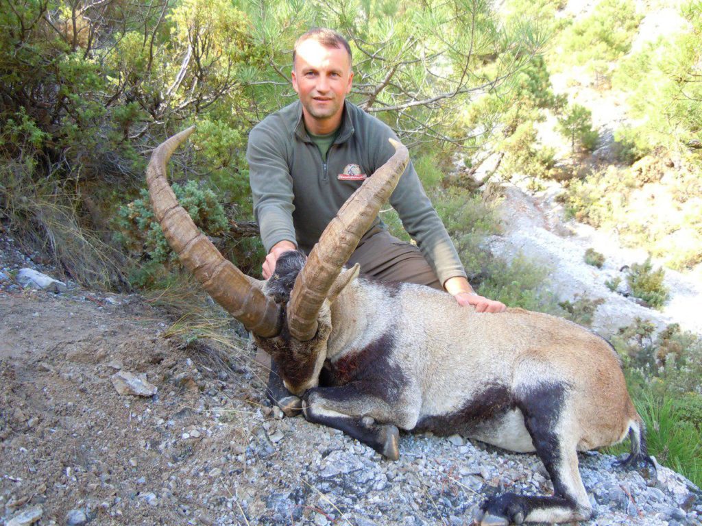 SOUTHEASTERN IBEX - SMC SPAIN HUNTING IBEX